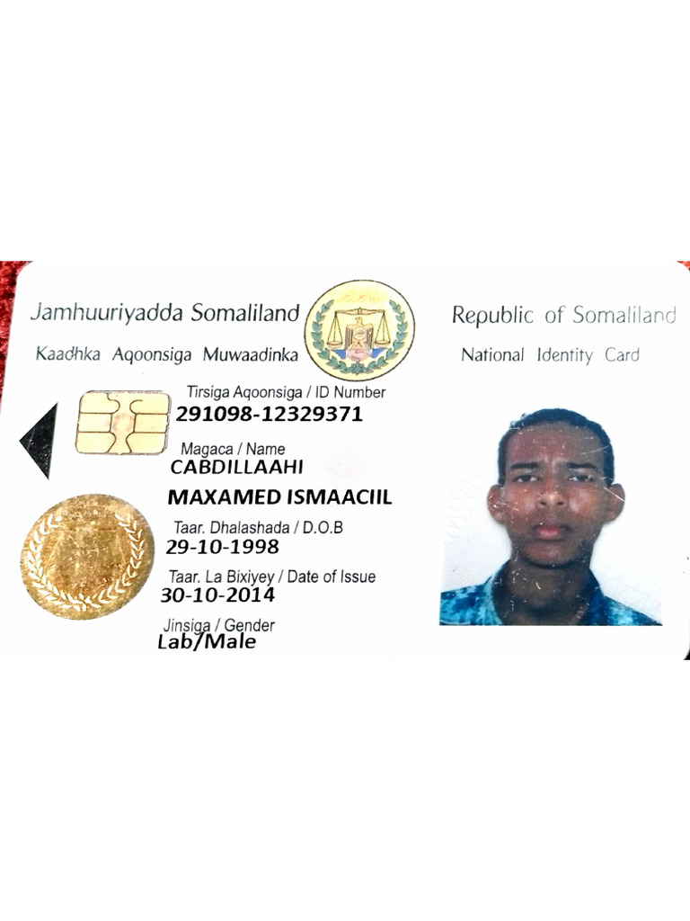 Basic English Grammar 3rd Ed Pdf