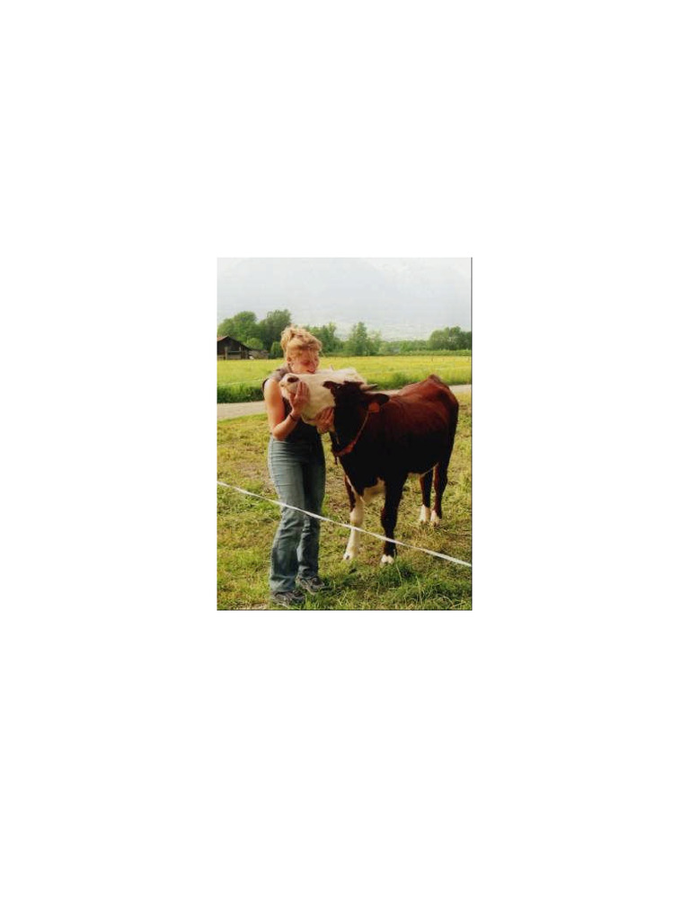 Cattle Behaviour and The Human-Animal Relationship: Variation Factors ...