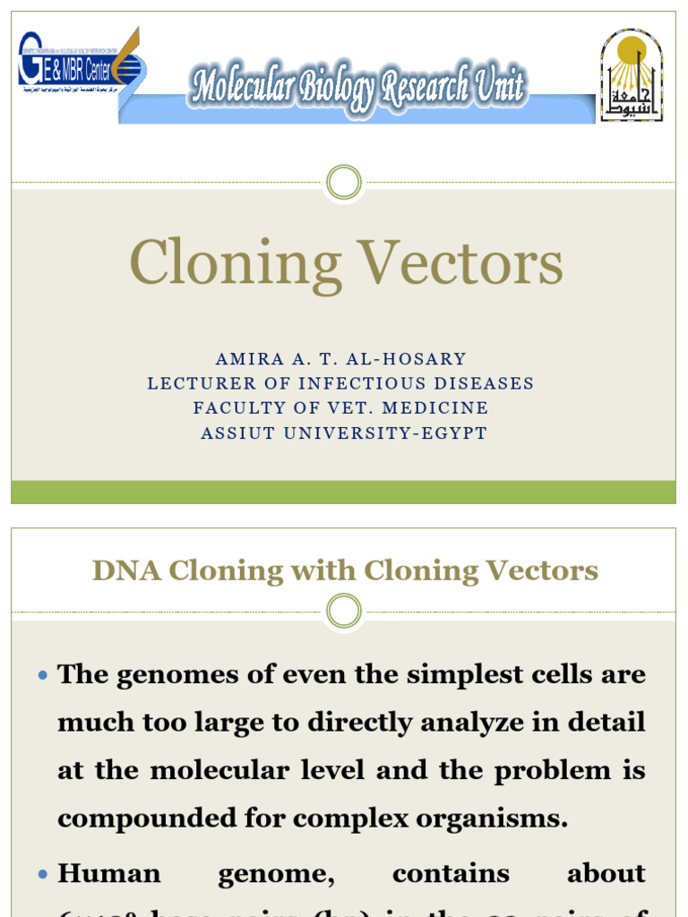 2 Cloning Vectors Pdf Molecular Cloning Plasmid
