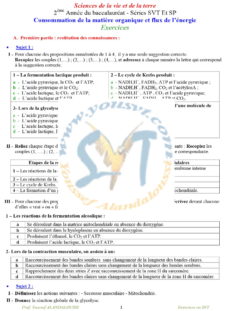 1-Ex-Unit1-Sujets (1) | PDF
