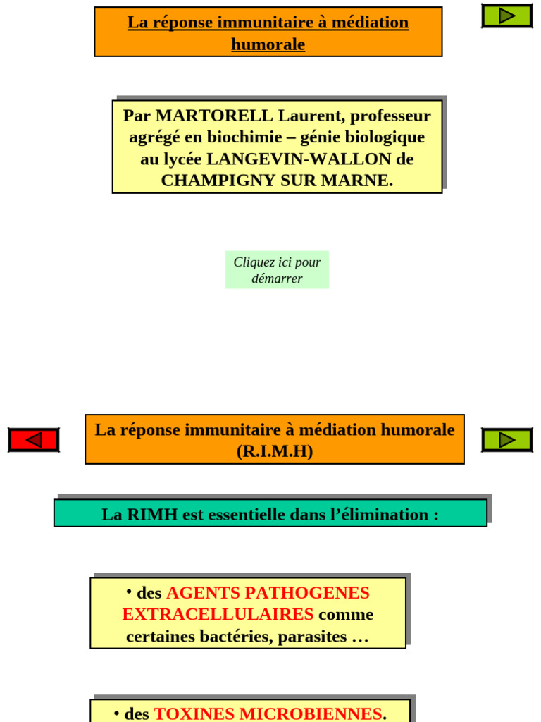 Réponse Immunitaire Humorale: Étapes et Cellules | PDF | Immunité humorale | Anticorps