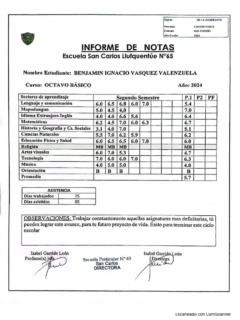 Informe de Notas - Benjamín Vásquez | PDF