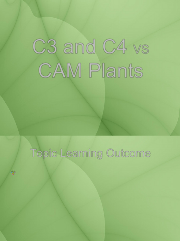 C3, C4, and CAM Photosynthesis Overview | PDF | Photosynthesis | Leaf