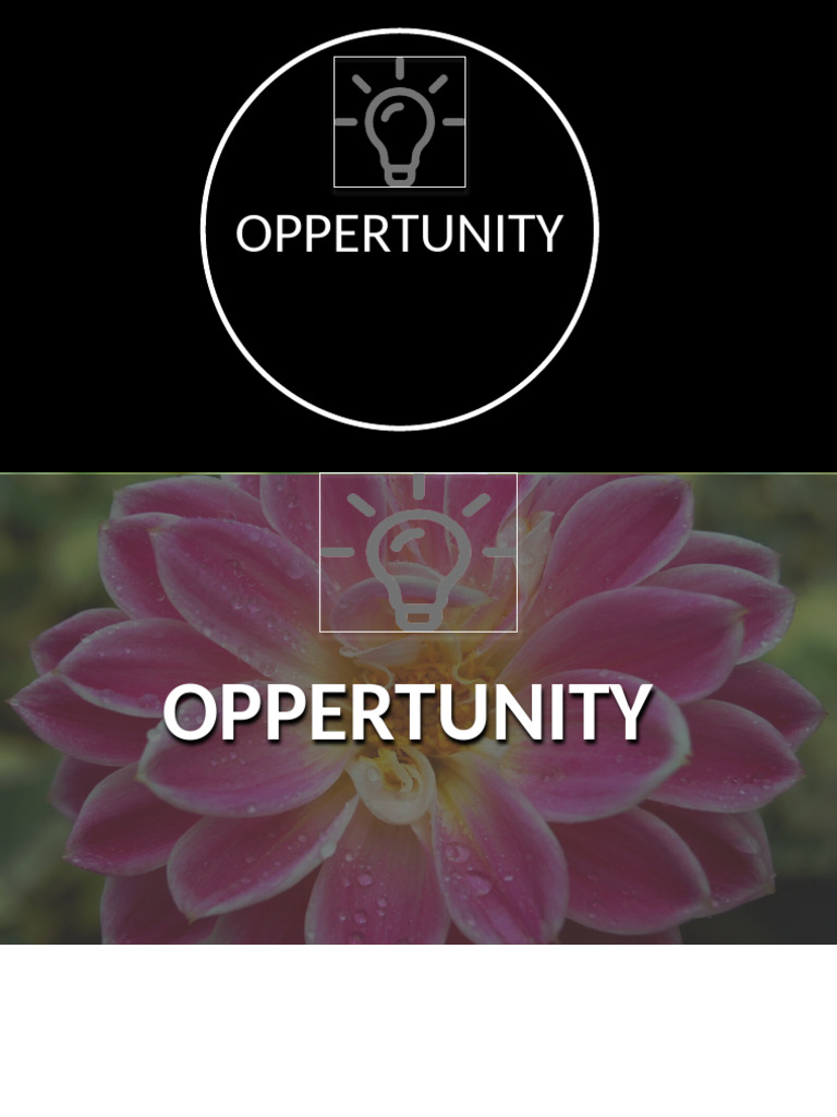 Innodation Final Morph Transetion | PDF