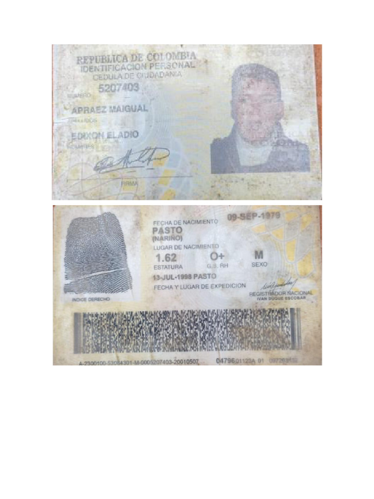 CC Edixon Apraez | PDF