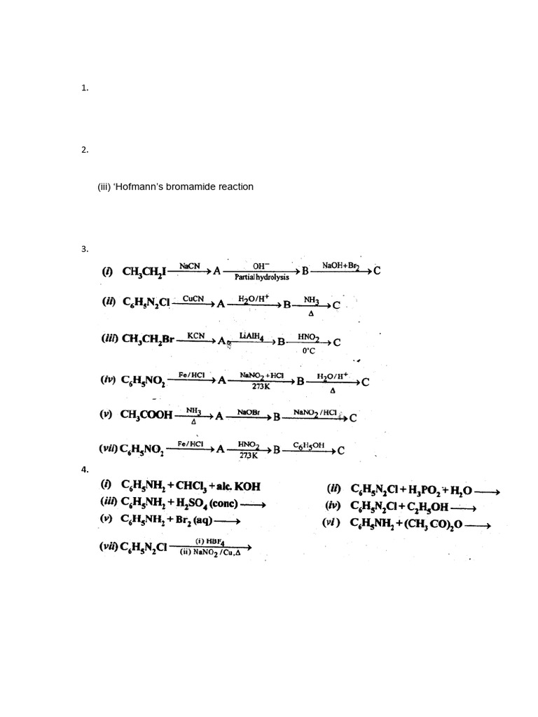 Amines Assignment | PDF