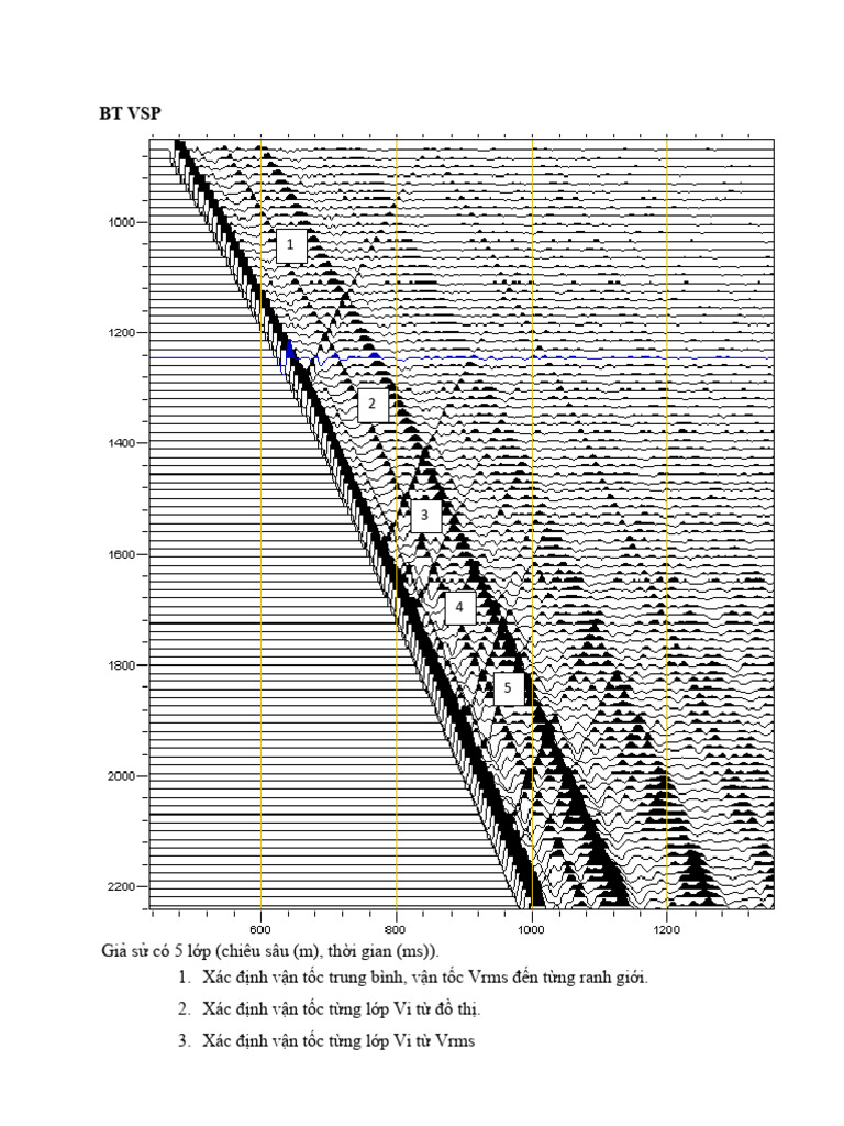 BÀI TẬP VSP | PDF