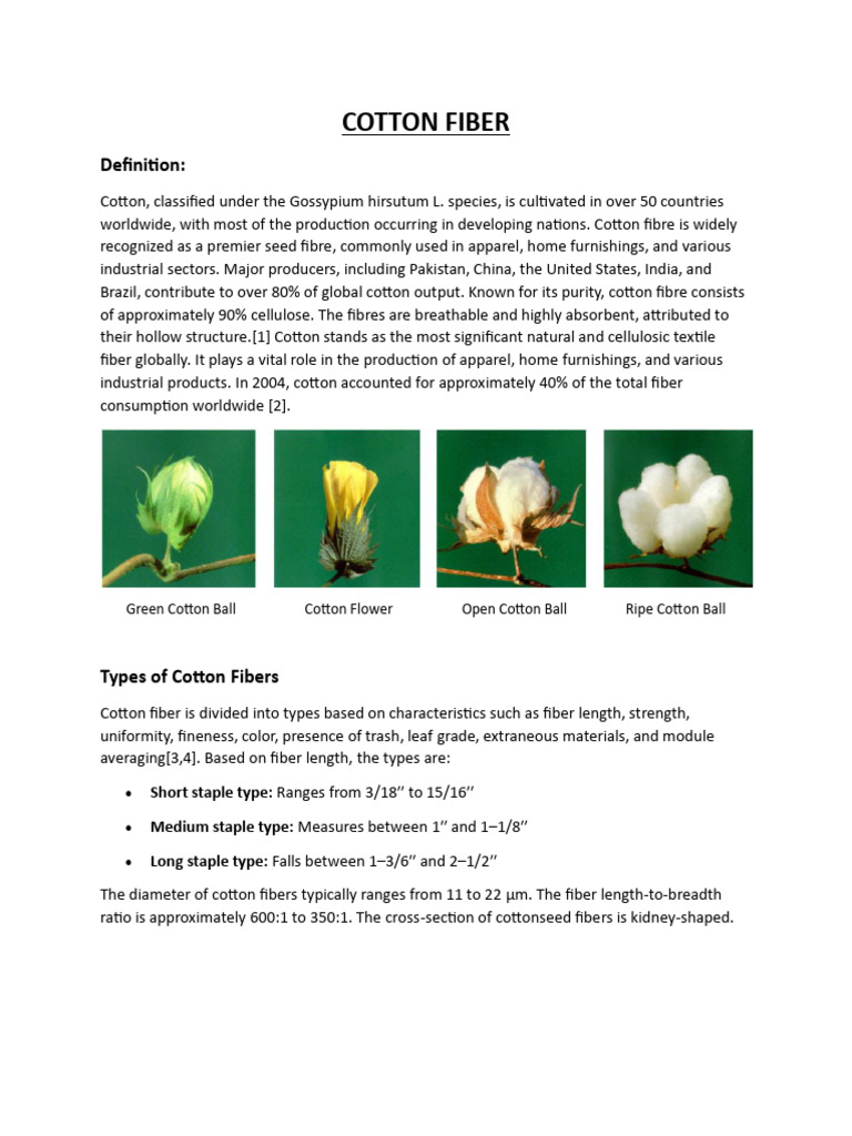 Cotton Fiber | PDF | Yarn | Textiles