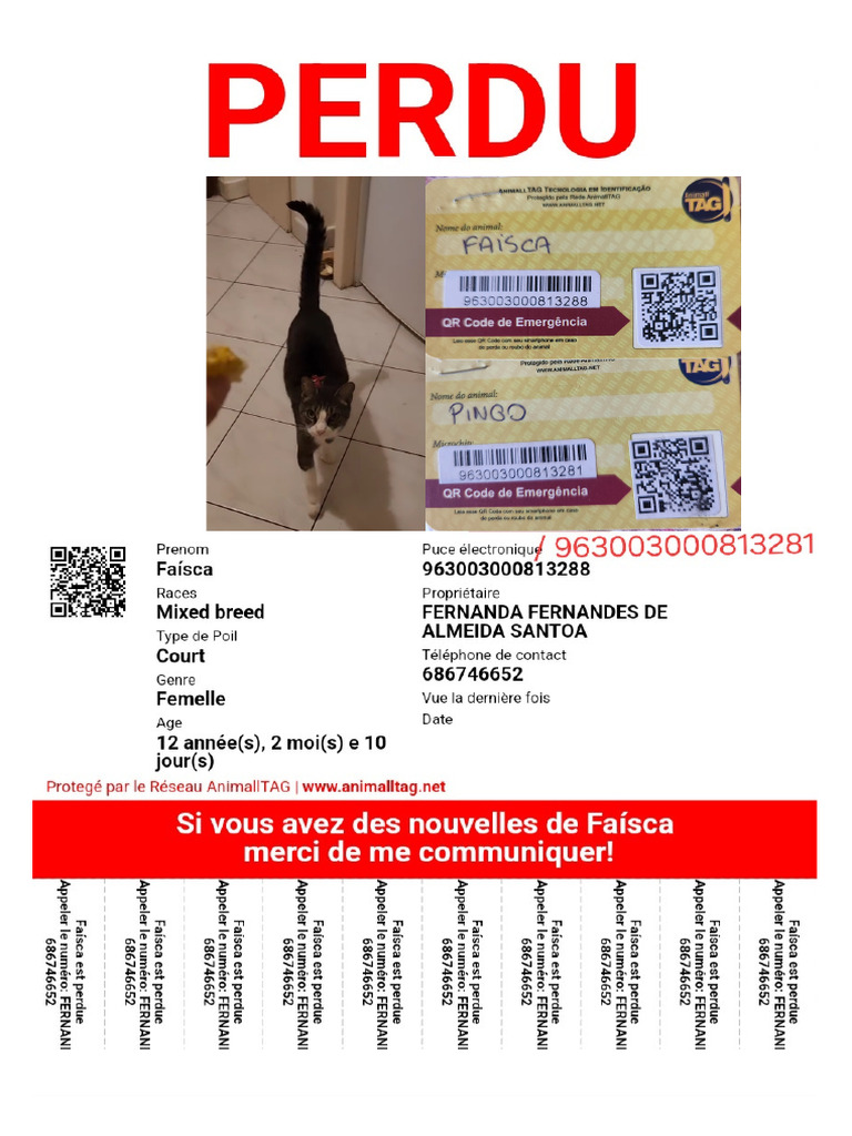 Modelo Chat Perdu | PDF