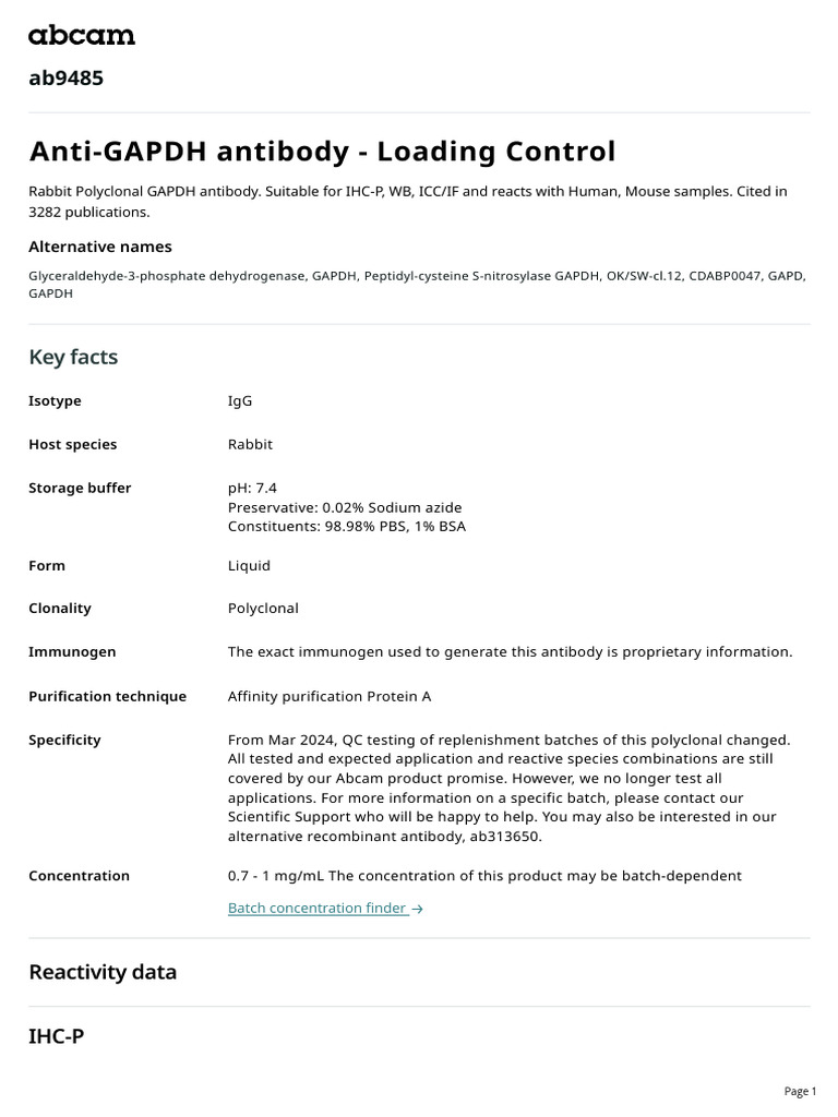 Loading Control GAPDH Abcam | PDF | Glyceraldehyde 3 Phosphate ...
