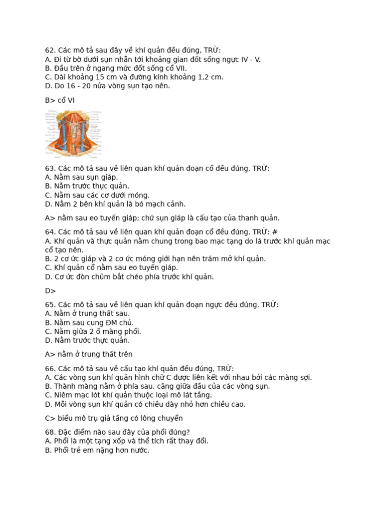 Giai Phau Ho Hap | PDF