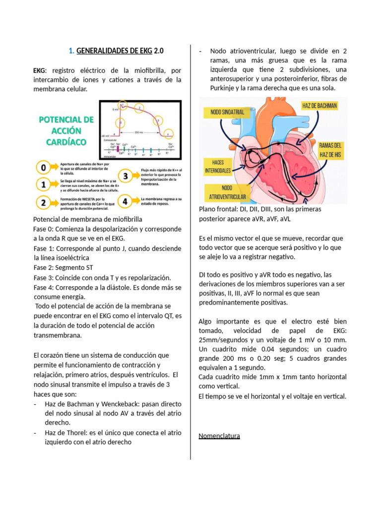 RESUMEN DE EKG 2024 | PDF | Electrocardiografia | Corazón