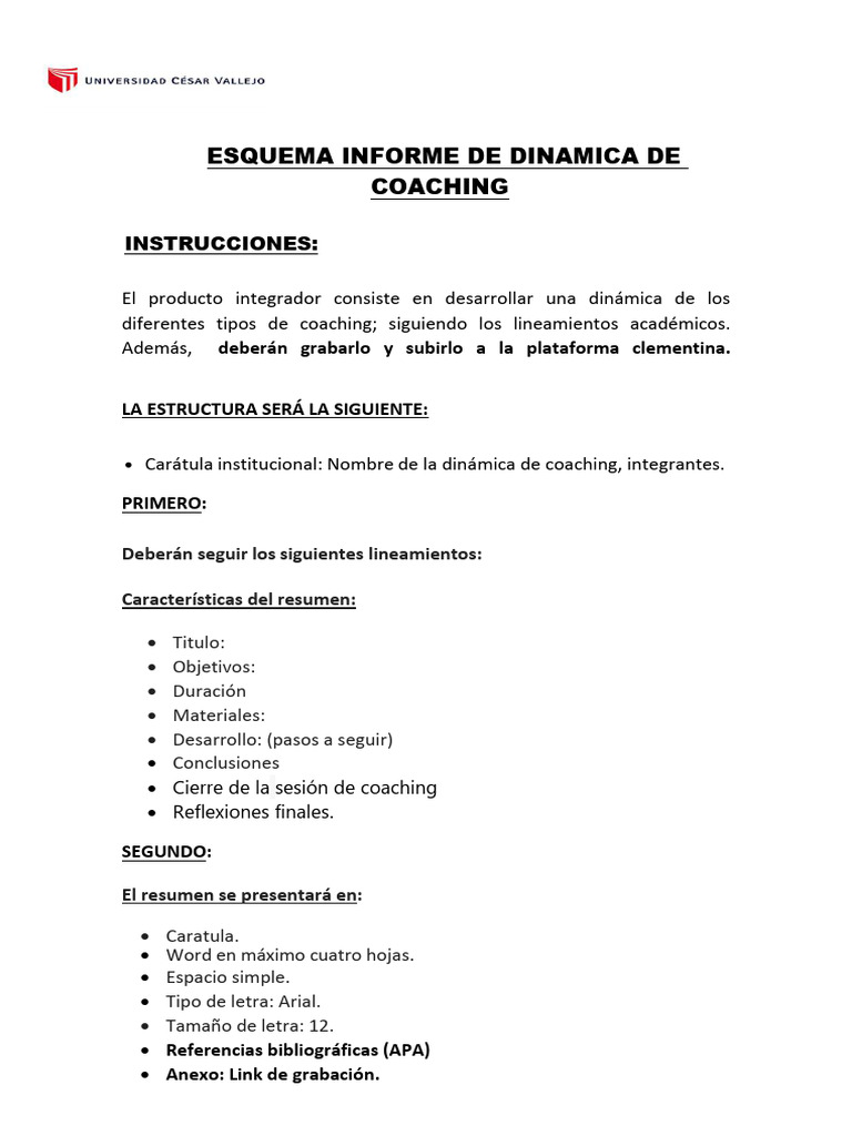 Esquema de Informe de Dinamica de Coaching - 6 | PDF