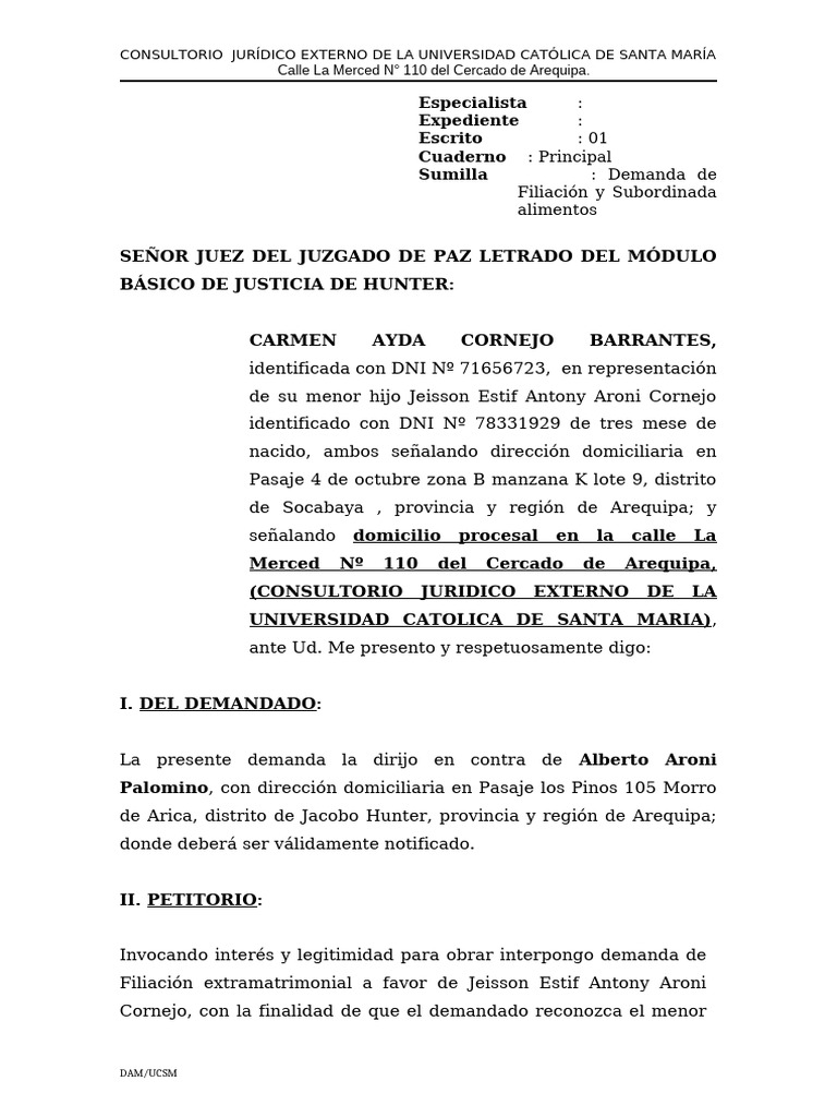 01 Demanda | PDF | Pensión alimenticia