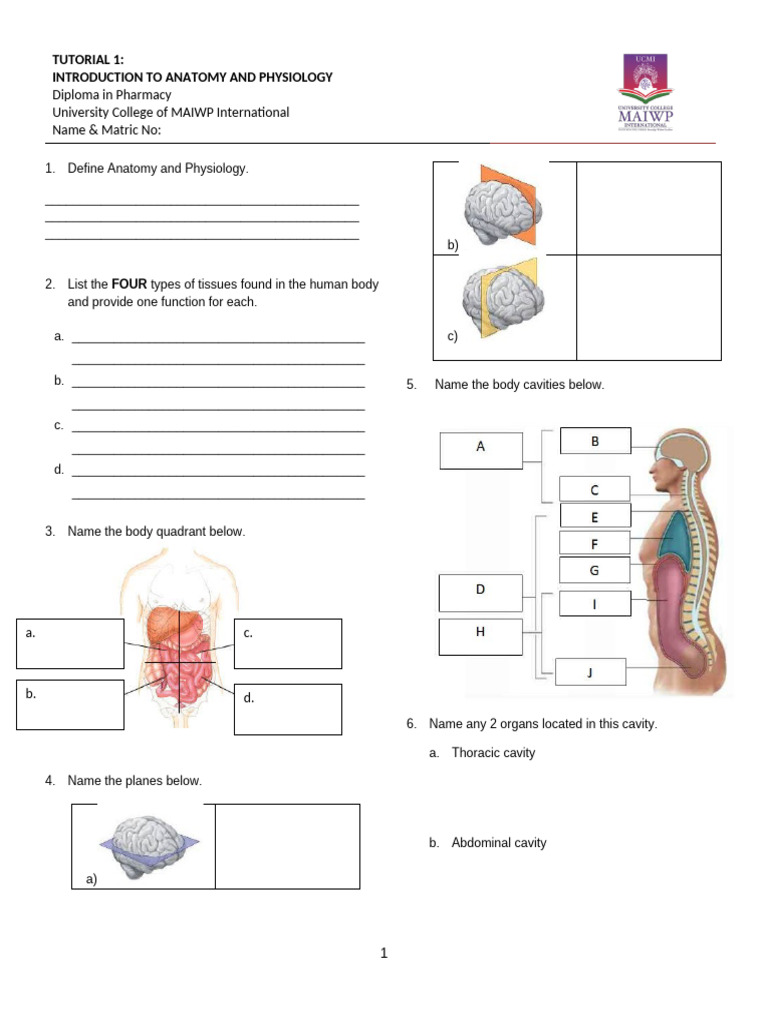 Introduction To AnP | PDF