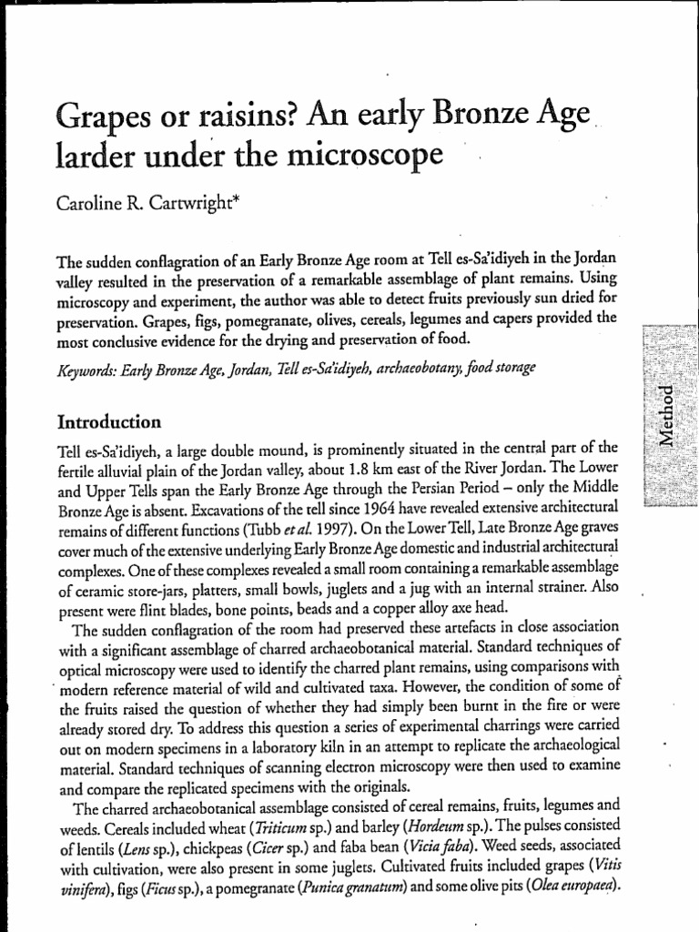 Grapes or Raisins - An Early Bronze Age Larder Under The Microscope ...