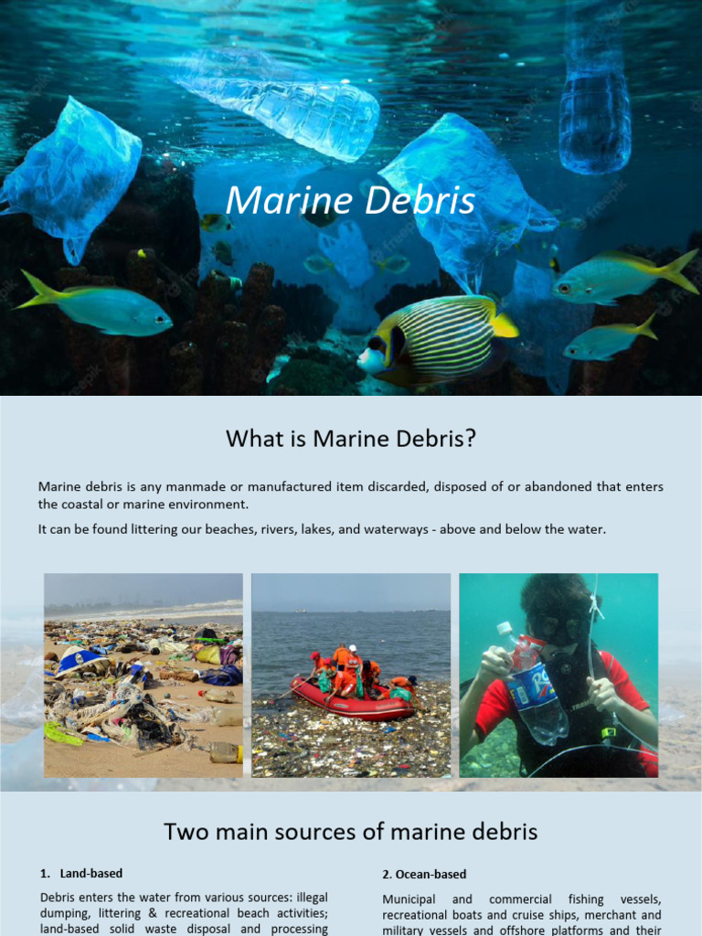 Marine Debris_updated | PDF | Municipal Solid Waste | Debris