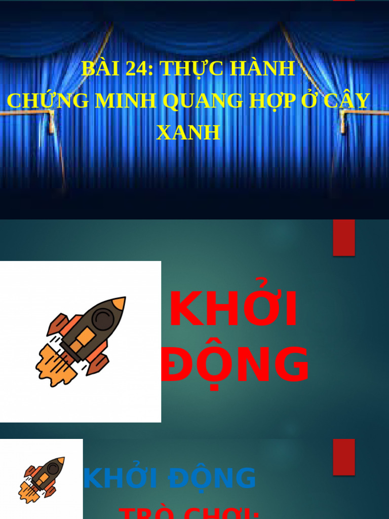 BAI 24 THUC HANH QUANG HOP O CAY XANH | PDF