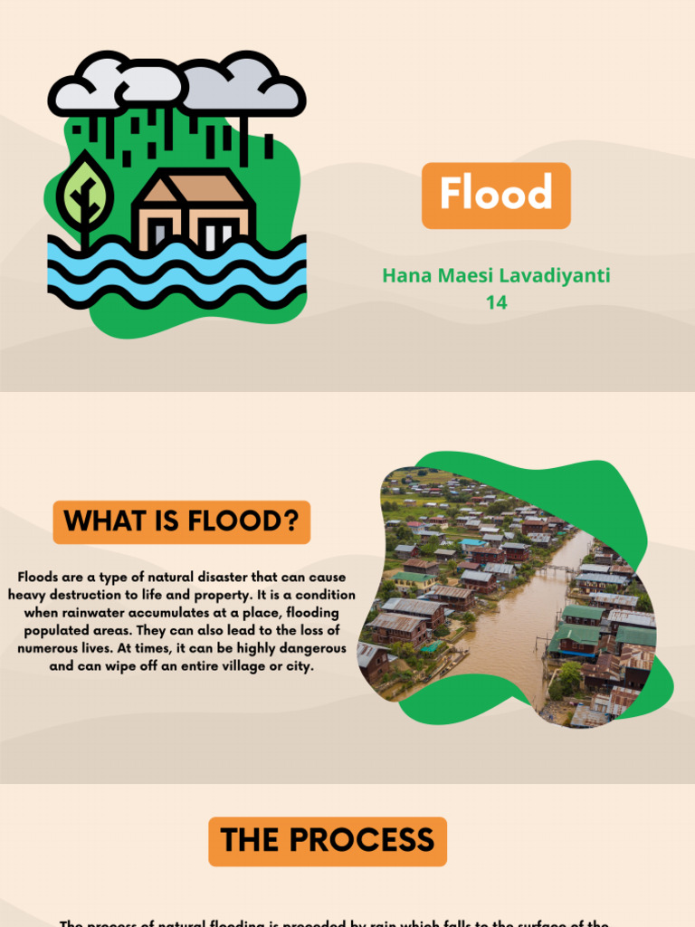 Flood | PDF