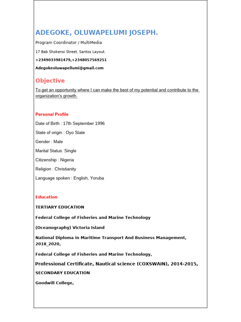Adegoke CV Ediii | PDF