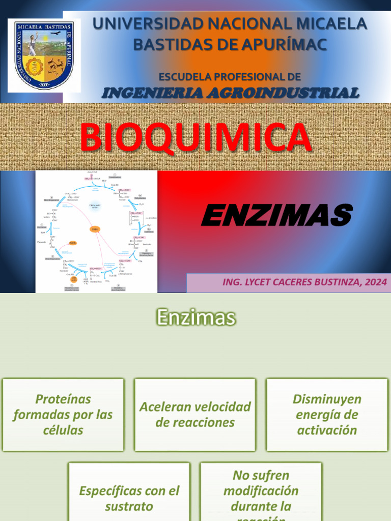 ENZIMAS | PDF