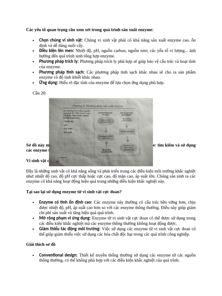 De Cuong On Cne | PDF