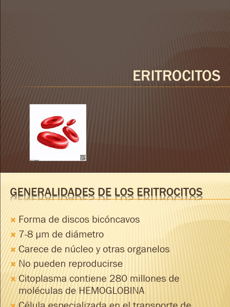 Características y funciones de los eritrocitos | PDF