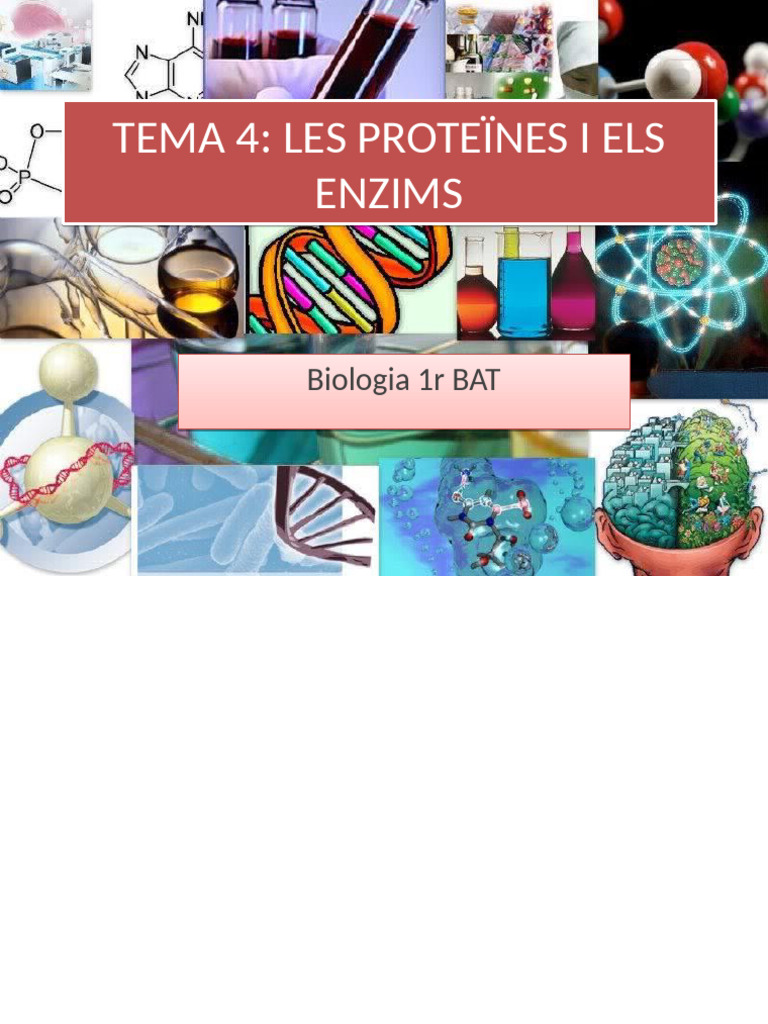 Proteïnes i enzims TEMA 4 | PDF