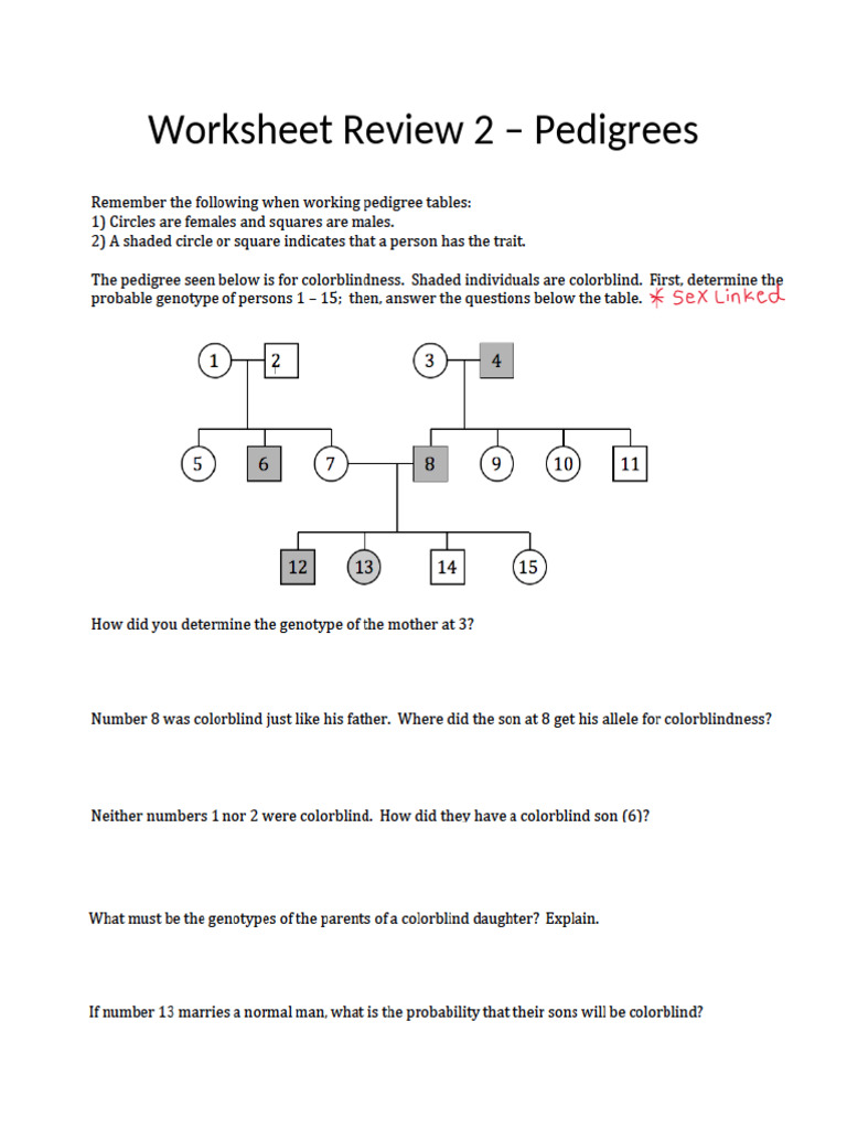 Worksheet Review 2 | PDF