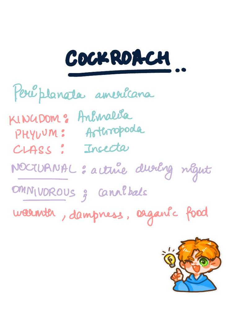 Cockroach | PDF