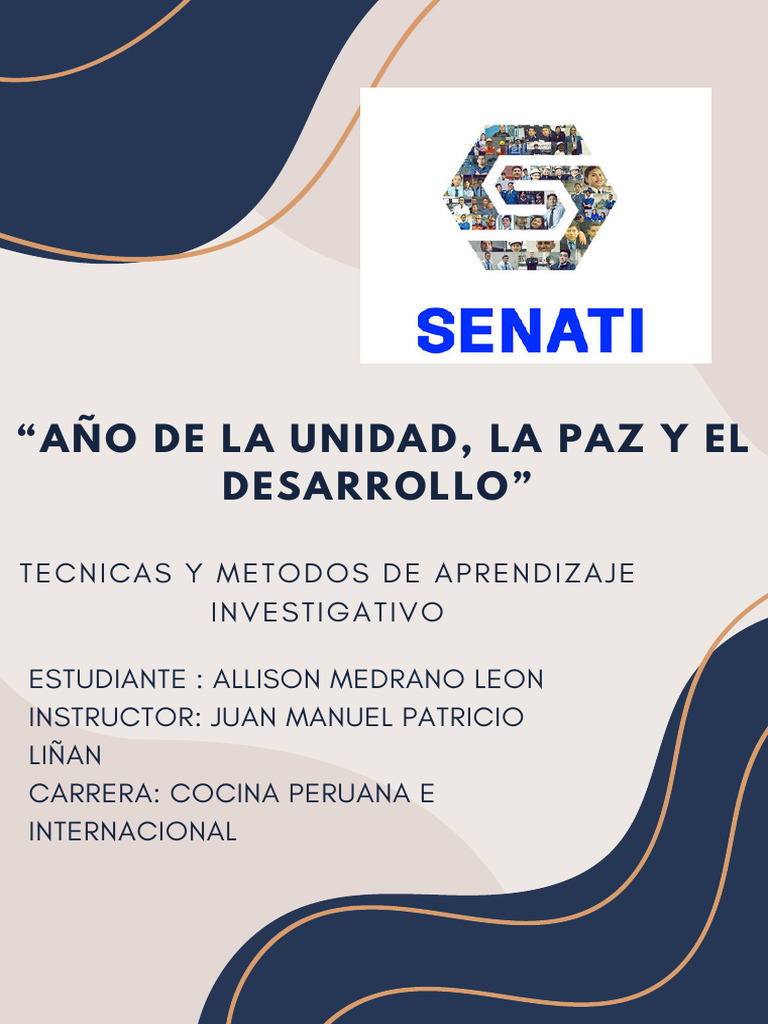 Contaminación y GNV en Lima: Estudio de Allison Medrano | PDF