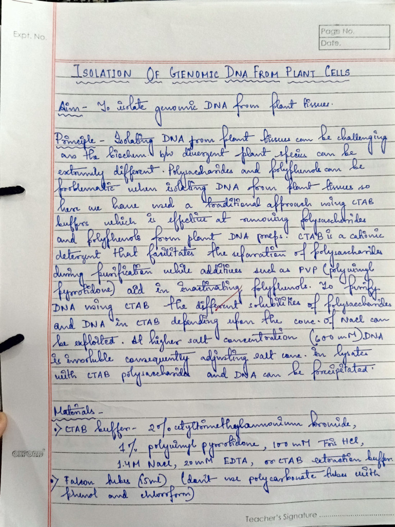 Plant Cell DNA Isolation Using CTAB | PDF