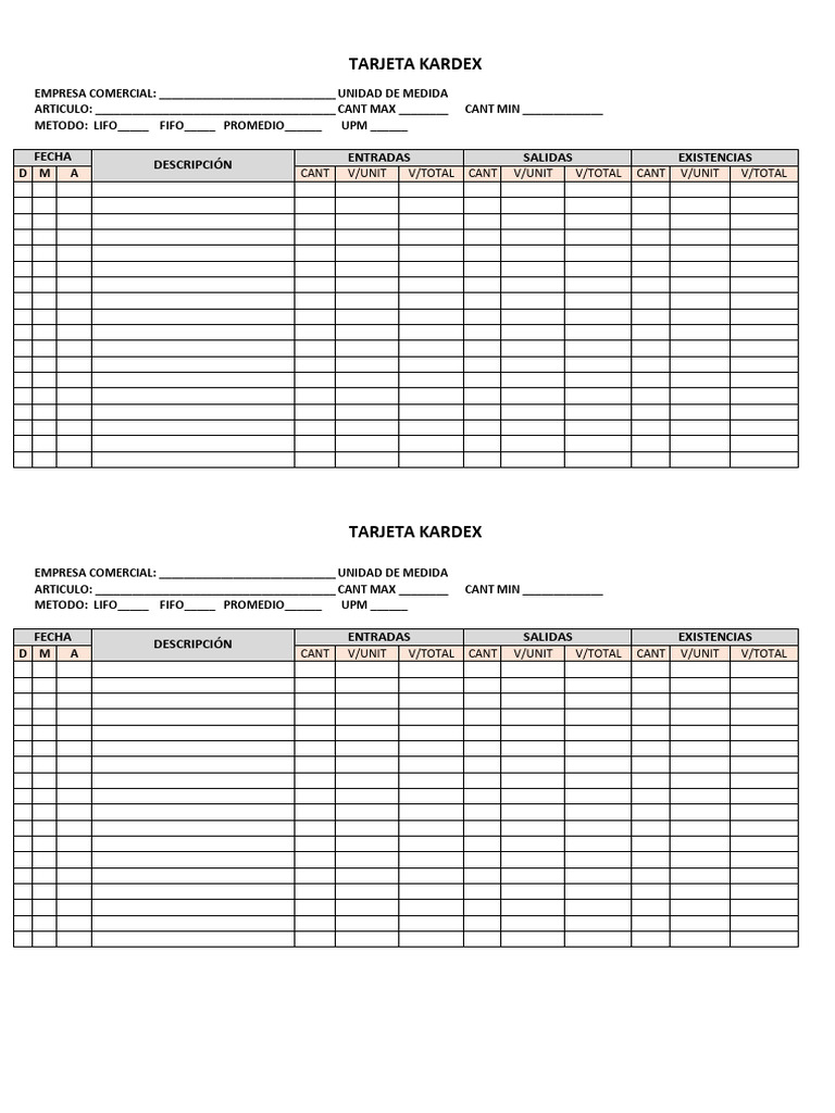 Formato Kardex | PDF