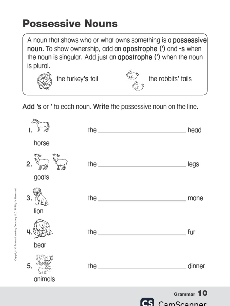 Grammar 10 Possessive Nouns | PDF