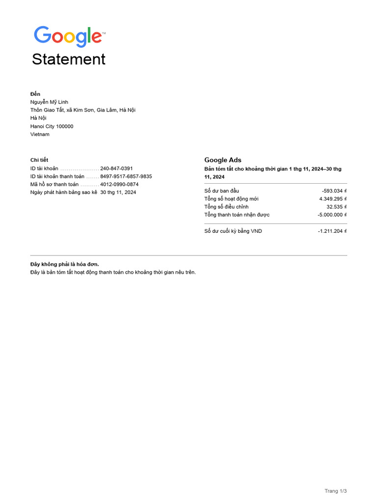 Statement: Google Ads | PDF