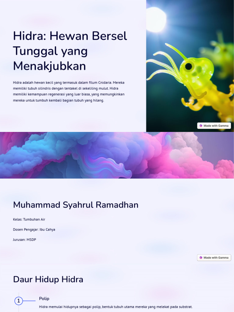 Hidra-Hewan-Bersel-Tunggal-yang-Menakjubkan | PDF
