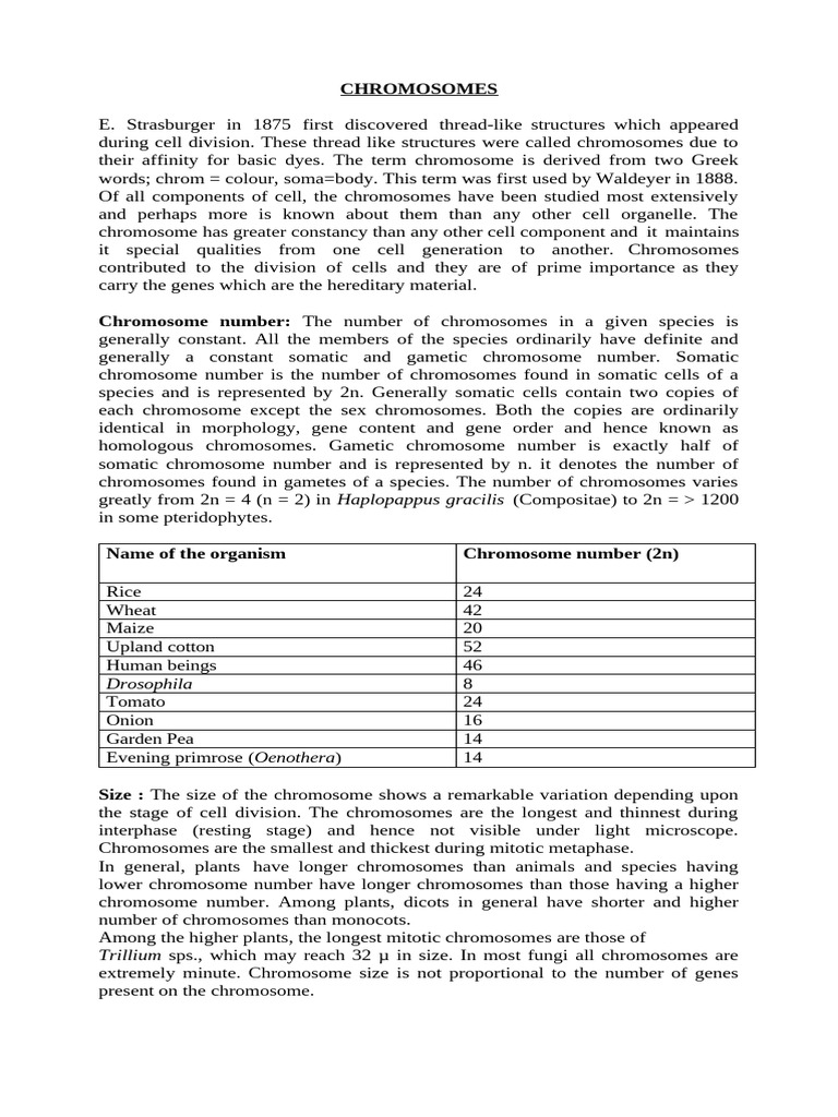 Chromosomes- Size, Morphology, Types | PDF | Chromosome | Mitosis