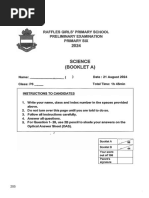 P6 Maths Prelim 2025 ACSJ Exam Papers | PDF