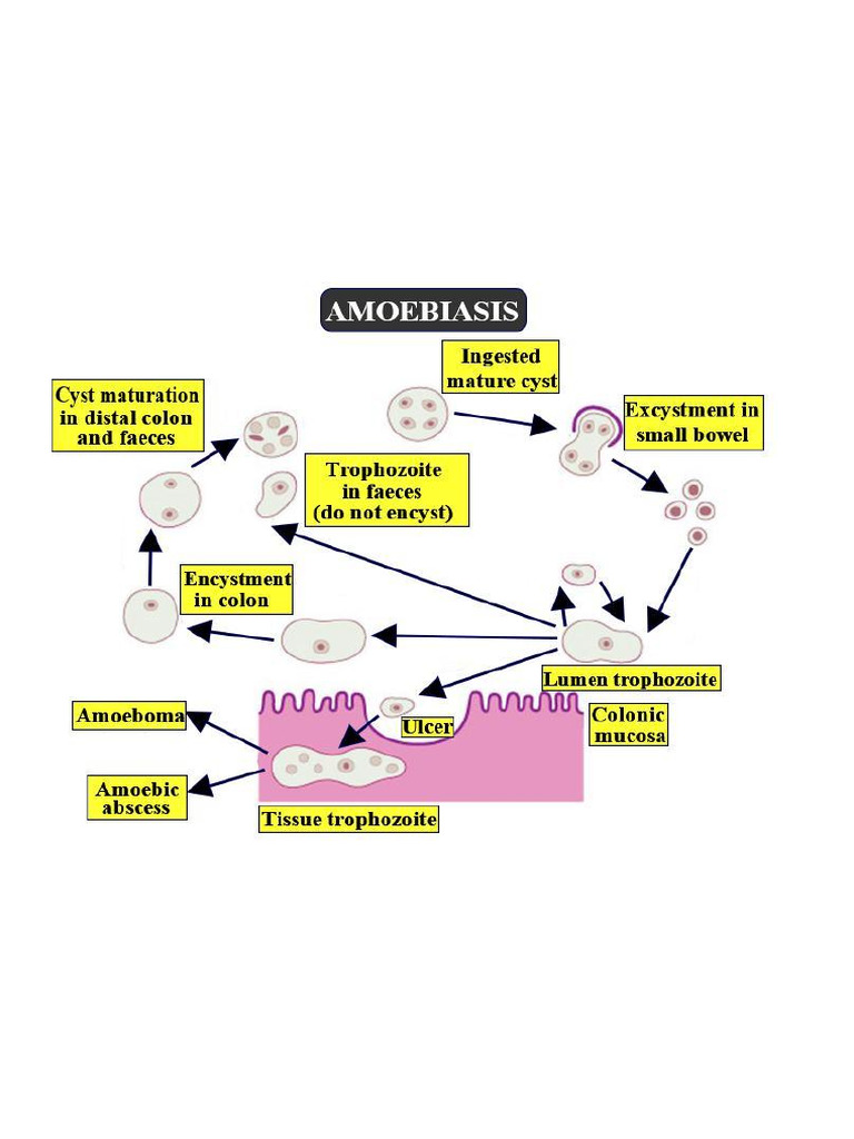 Image to pdf 14-Apr-2024 | PDF