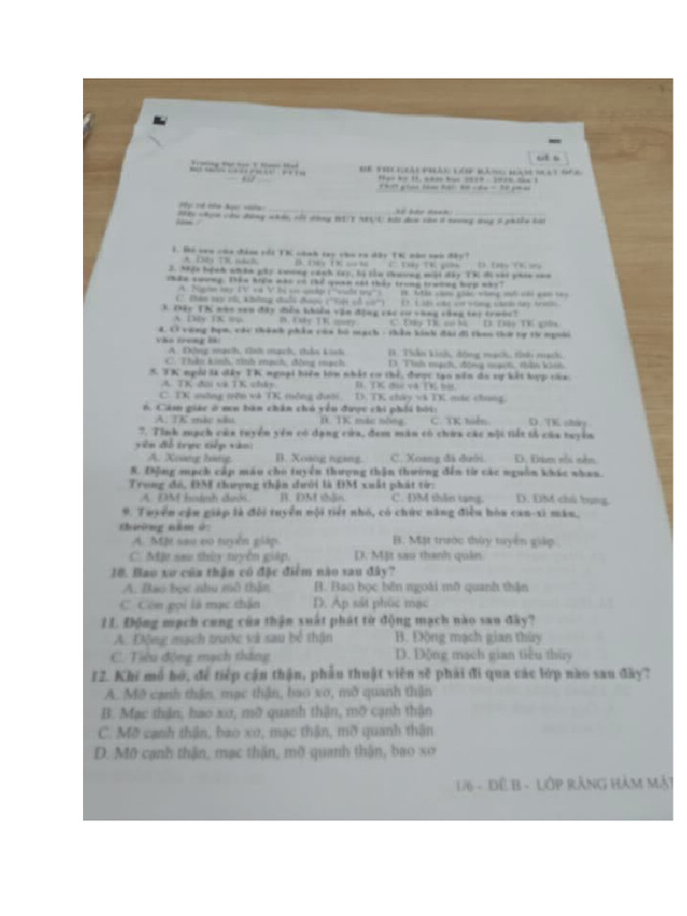 gp2 rhm19 20 1 | PDF