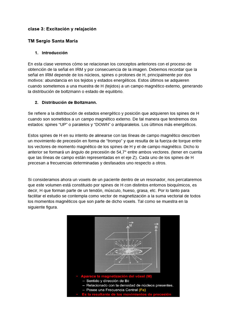 Excitación y Relajación en IRM | PDF | Imagen de resonancia magnética | Campo magnético