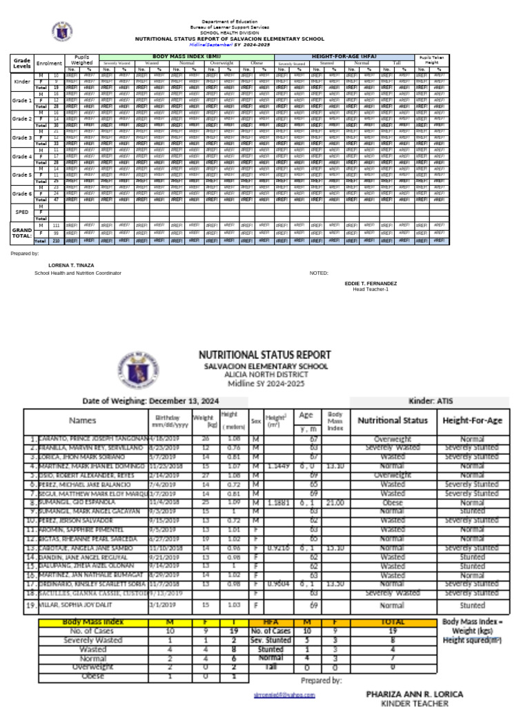 Nutritional Status Report 2024-2025 | PDF | Body Mass Index | Physical ...
