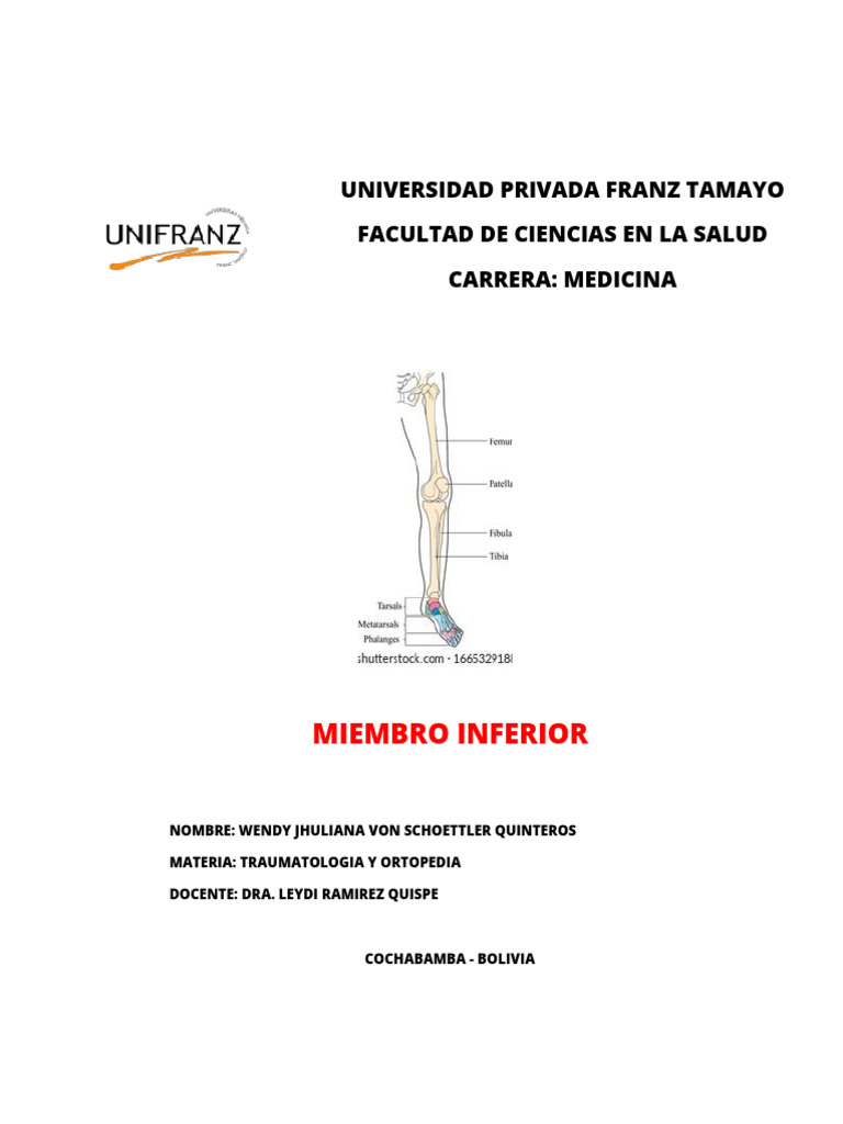 Miembro Inferior | PDF | Pelvis | Sistema musculoesquelético