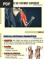 Bíceps Braquial Origem, Inserção, Inervação e Função Kenhub | PDF ...