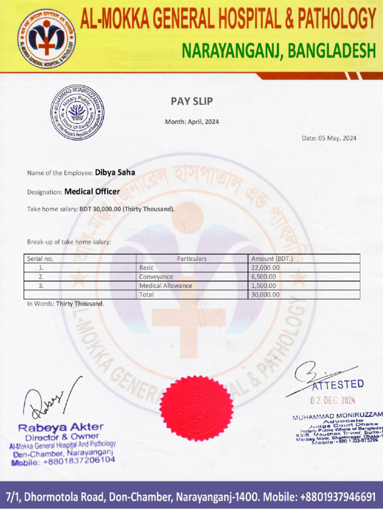 Pay Slip | PDF