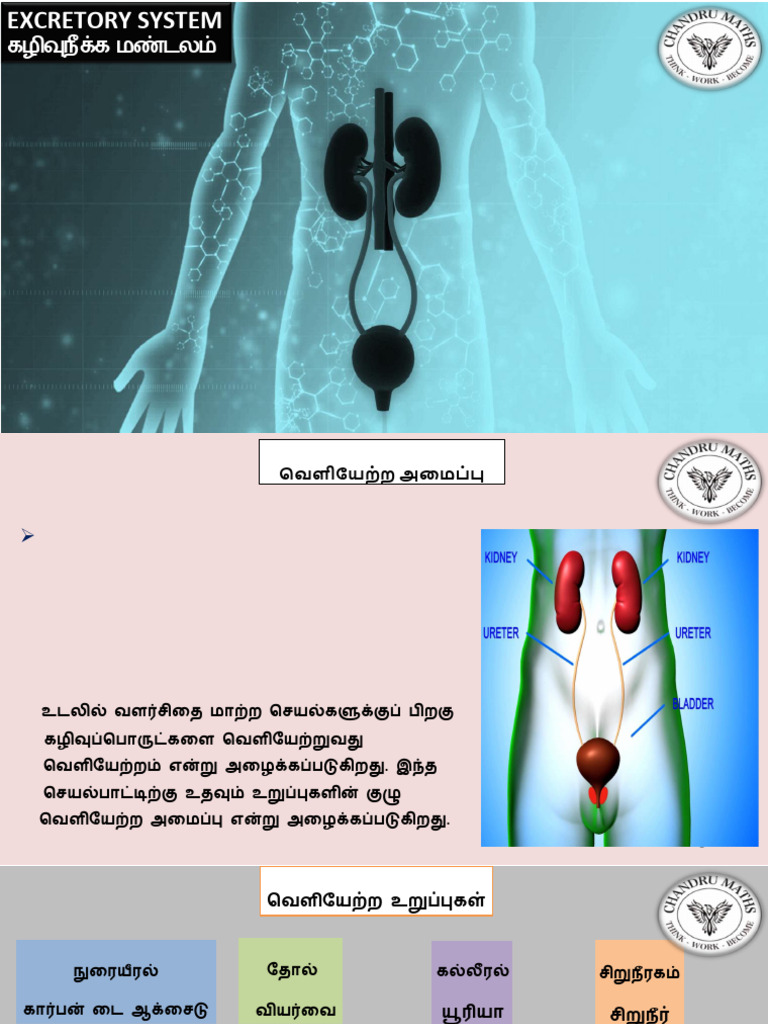 By Chandru Maths | PDF