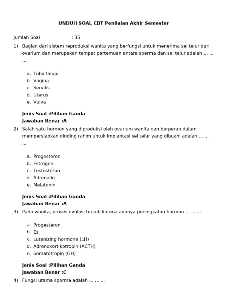 Lembar Soal CBT Penilaian Akhir Semester Kelas IX | PDF