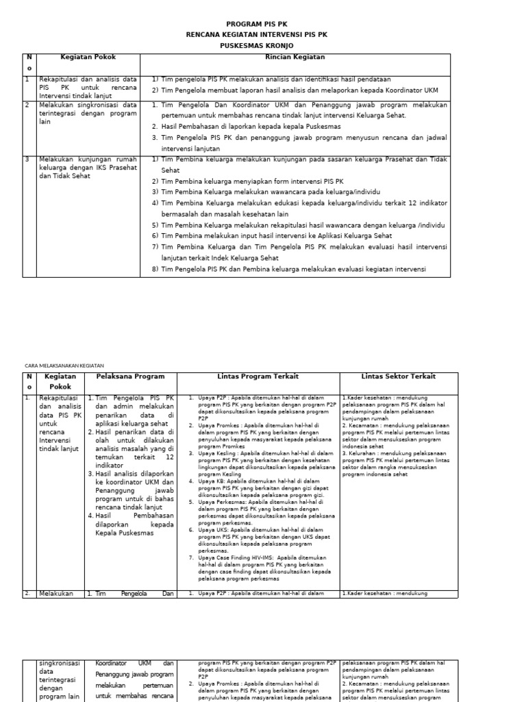 Program Pis PK Rincian Kegiatan | PDF