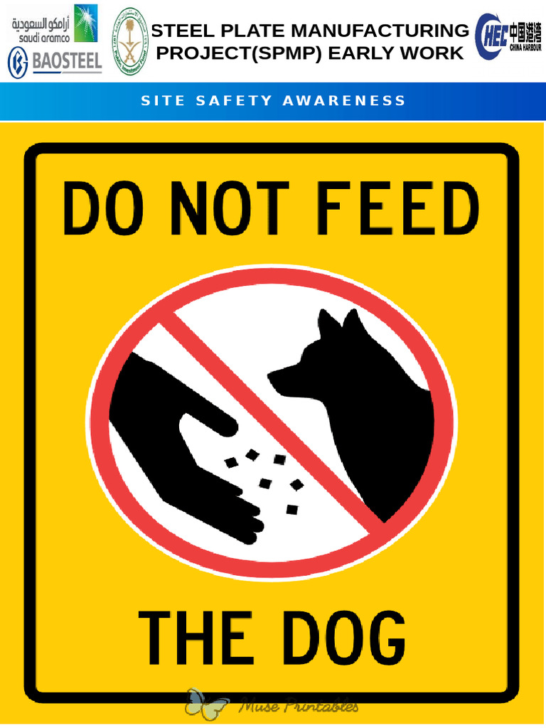 Traffic Safety Poster | PDF