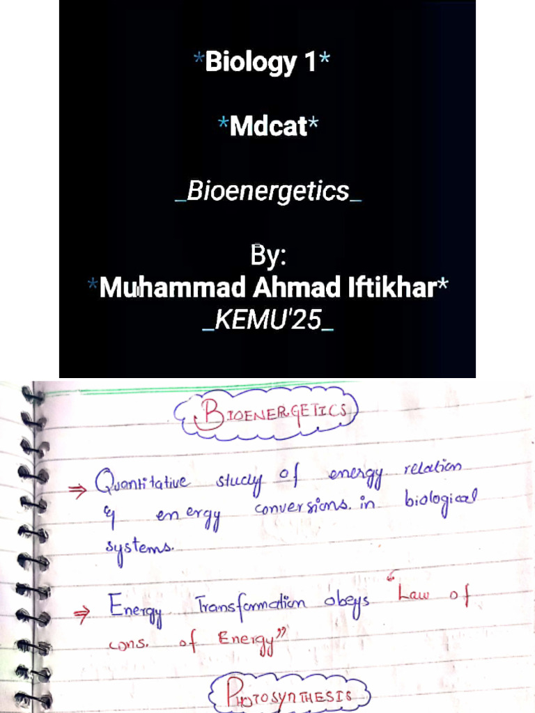 Bioenergetics-1-1 | PDF
